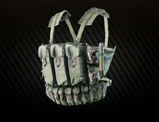 Buy Poyas-A + Poyas-B gear rig, Lifchik R22 Chest Rig - From Australia ...